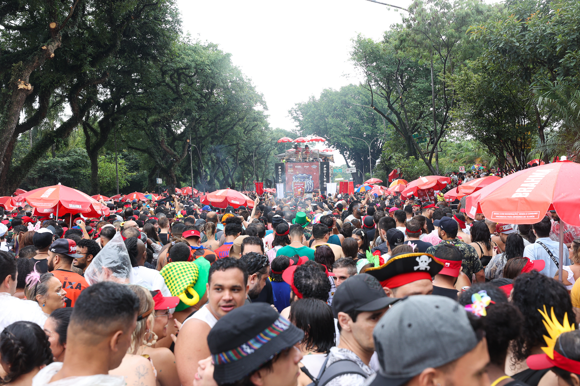 Pré-carnaval começa com desfiles de grandes blocos em São Paulo ...